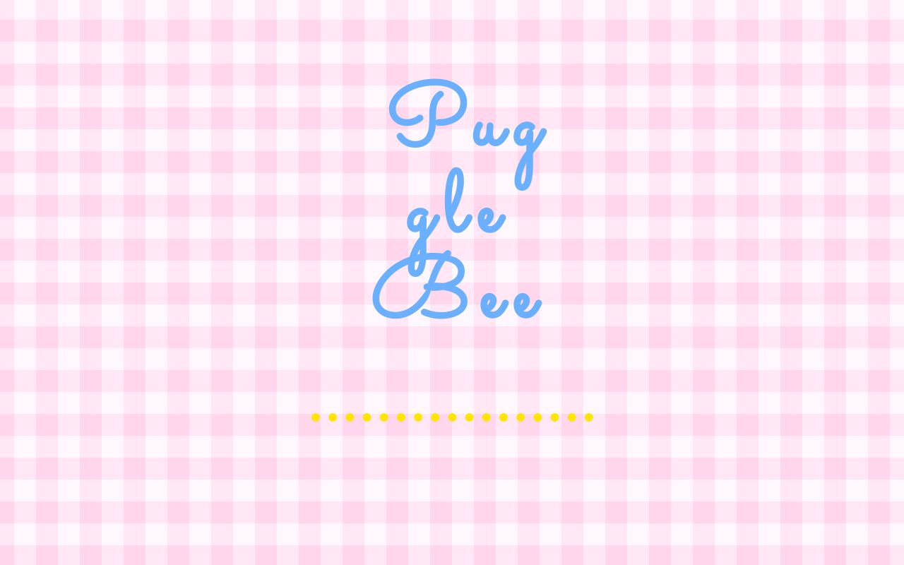 Puggle Bee portfolio